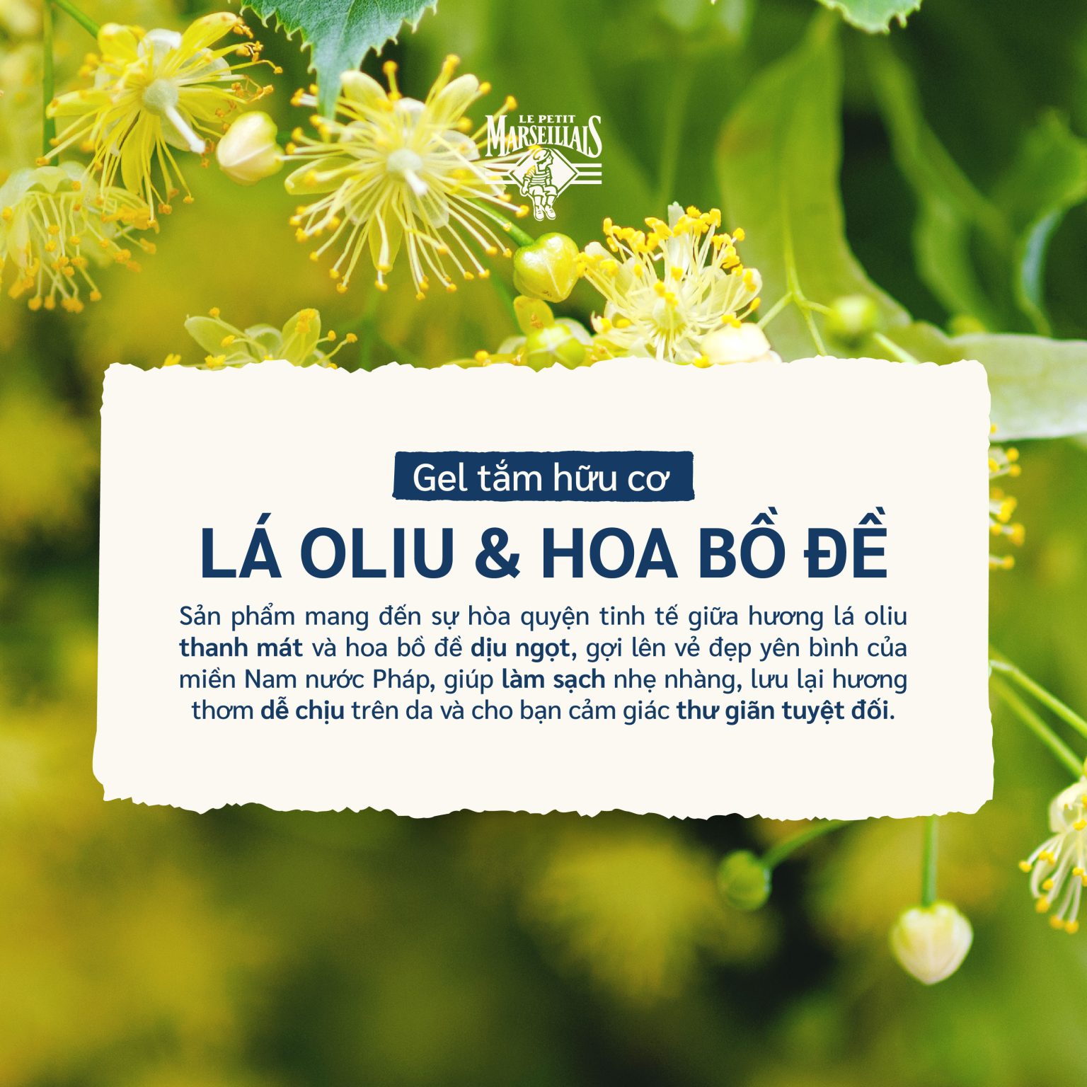 Gel tắm pháp Le Petit Marseillais Oliu & Hoa Bồ Đề 250ml